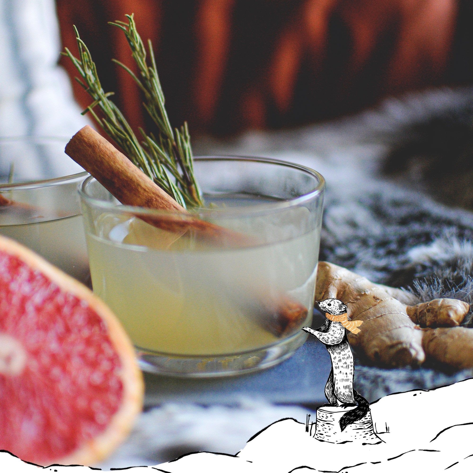 Grapefruit-Ginger Winter Drink, beneficial water for the skin – Saeve Paris